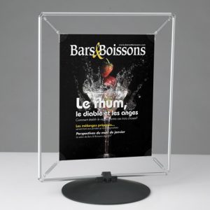 Spider Graphic Display System